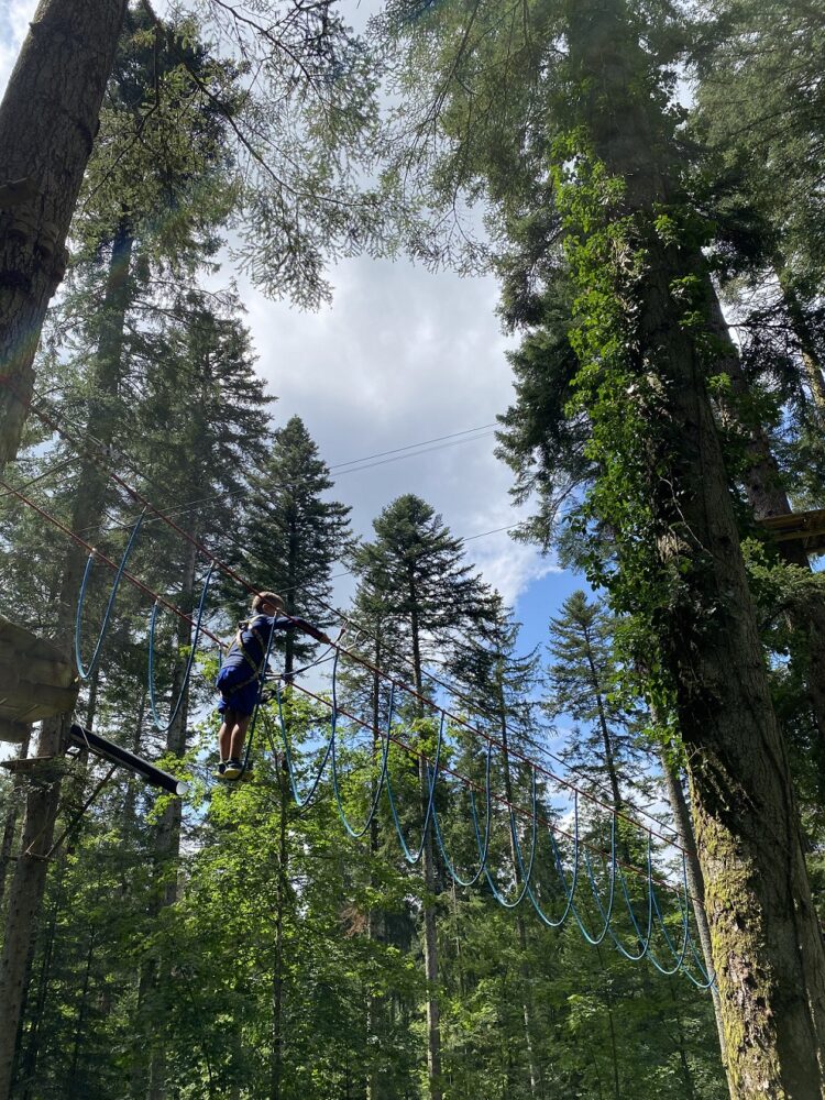 2 sites d'accrobranche en Pays Horloger